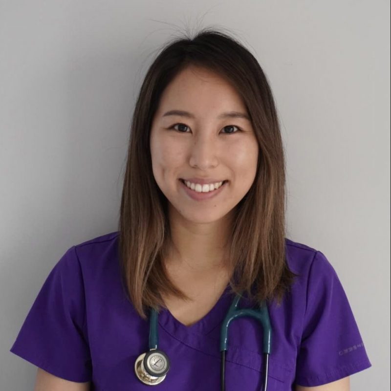 Beverley Ho, Veterinary Writer - The Veterinary Content Company